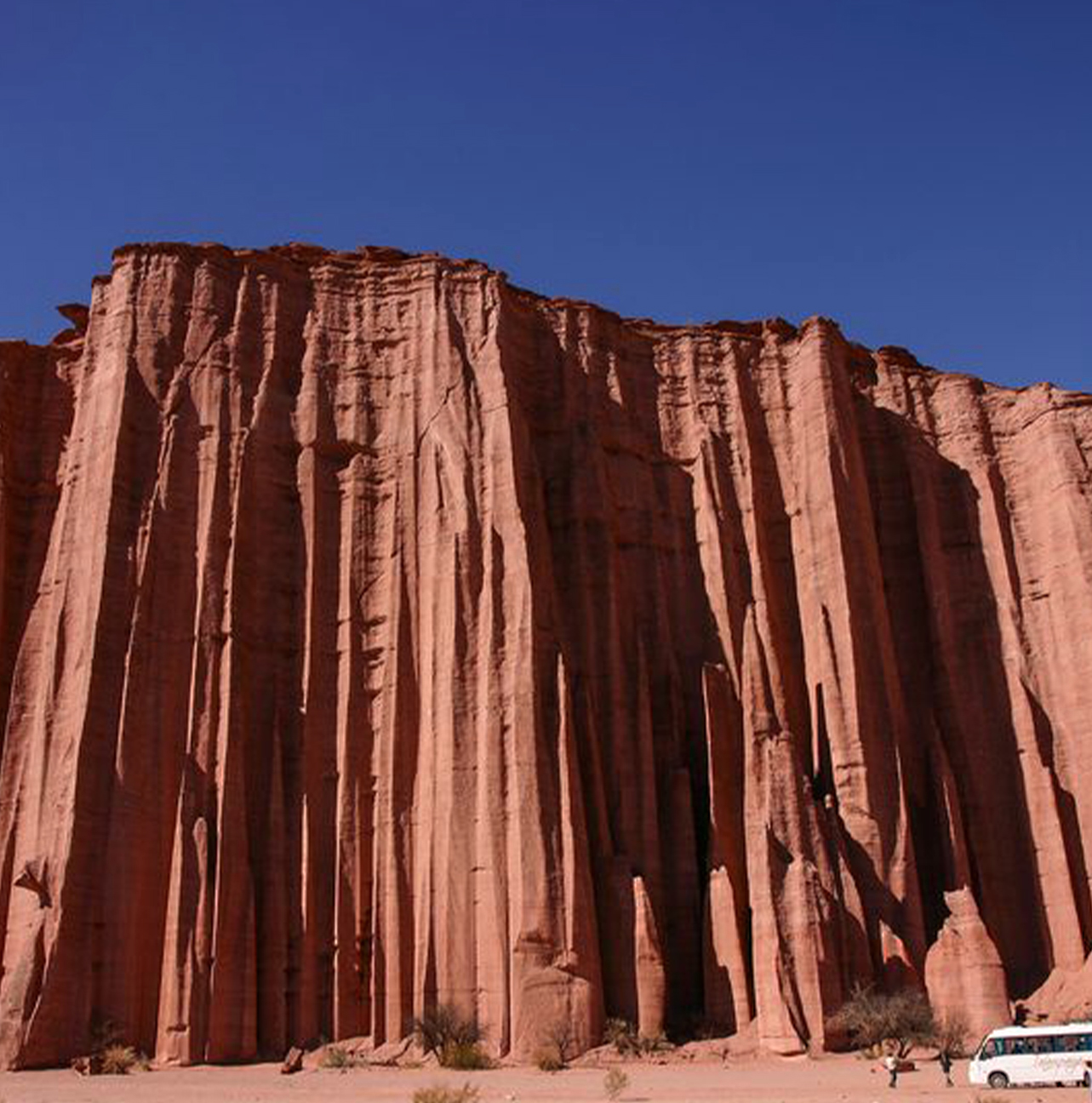 Pedraza Viajes y Turismo